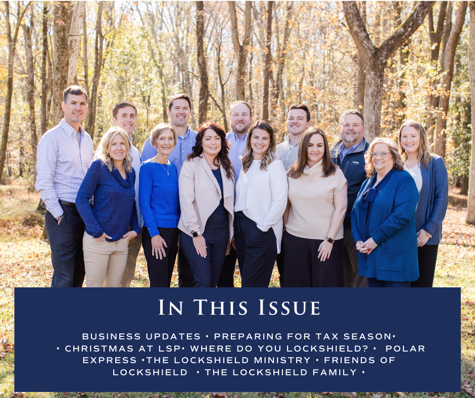 Lockshield Partners - Financial and Accounting Services